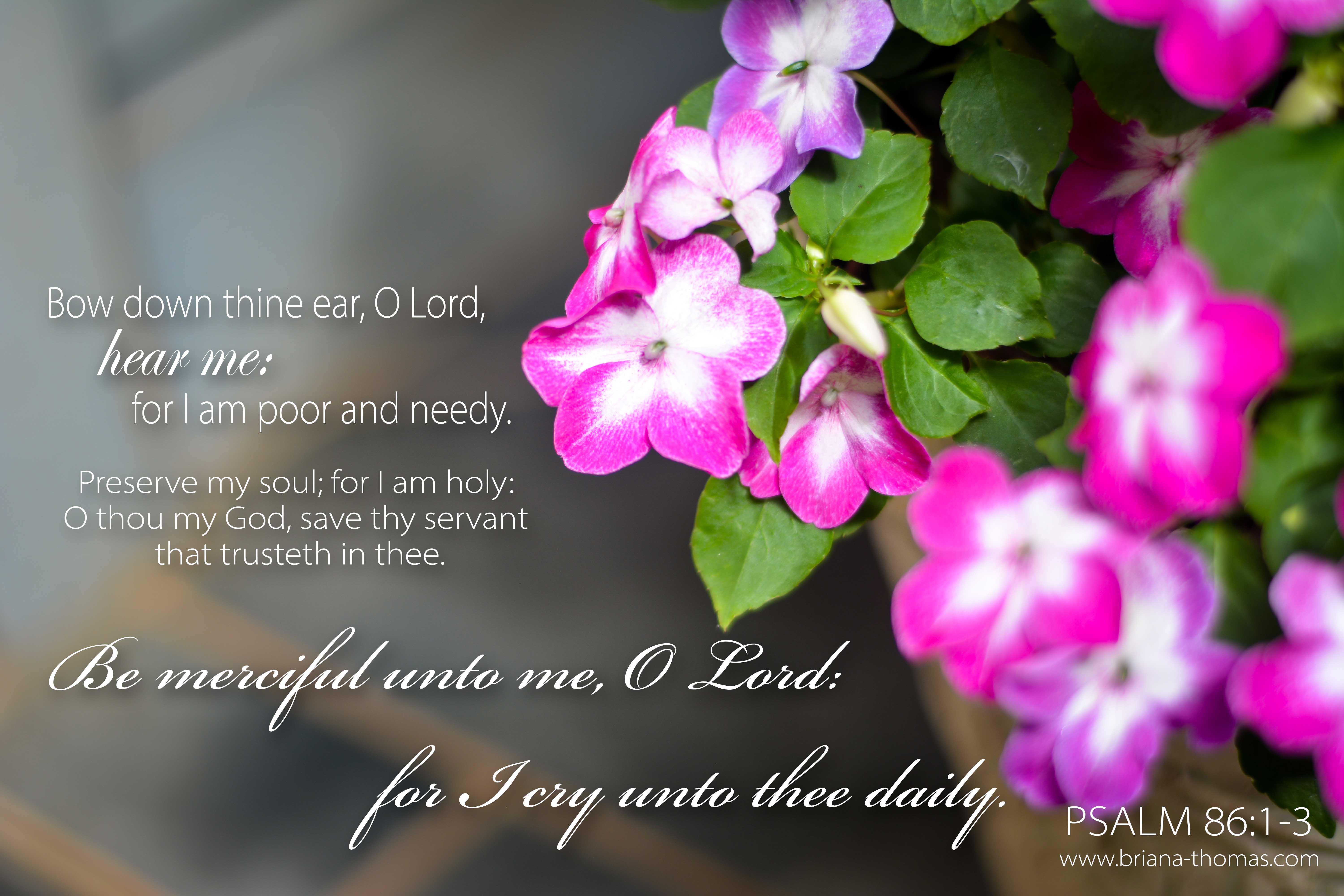 Great Is Thy Mercy Psalm 86 In Pictures Briana Thomas Great Is Thy Mercy Psalm 86 In Pictures Briana Thomas